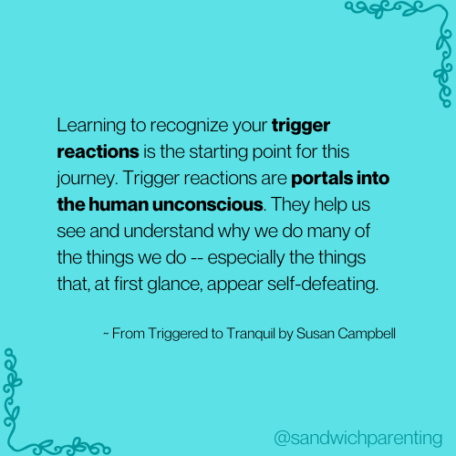 Trigger Reactions – Sherry Yuan Hunter